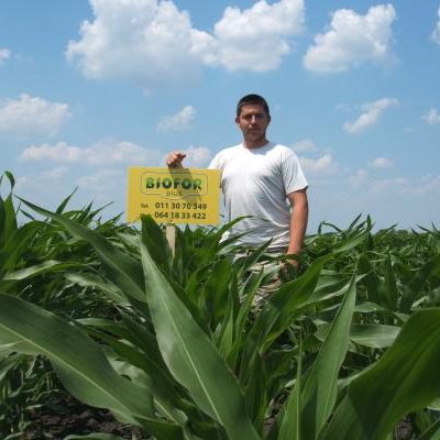 Iskustva korisnika – BIOFOR