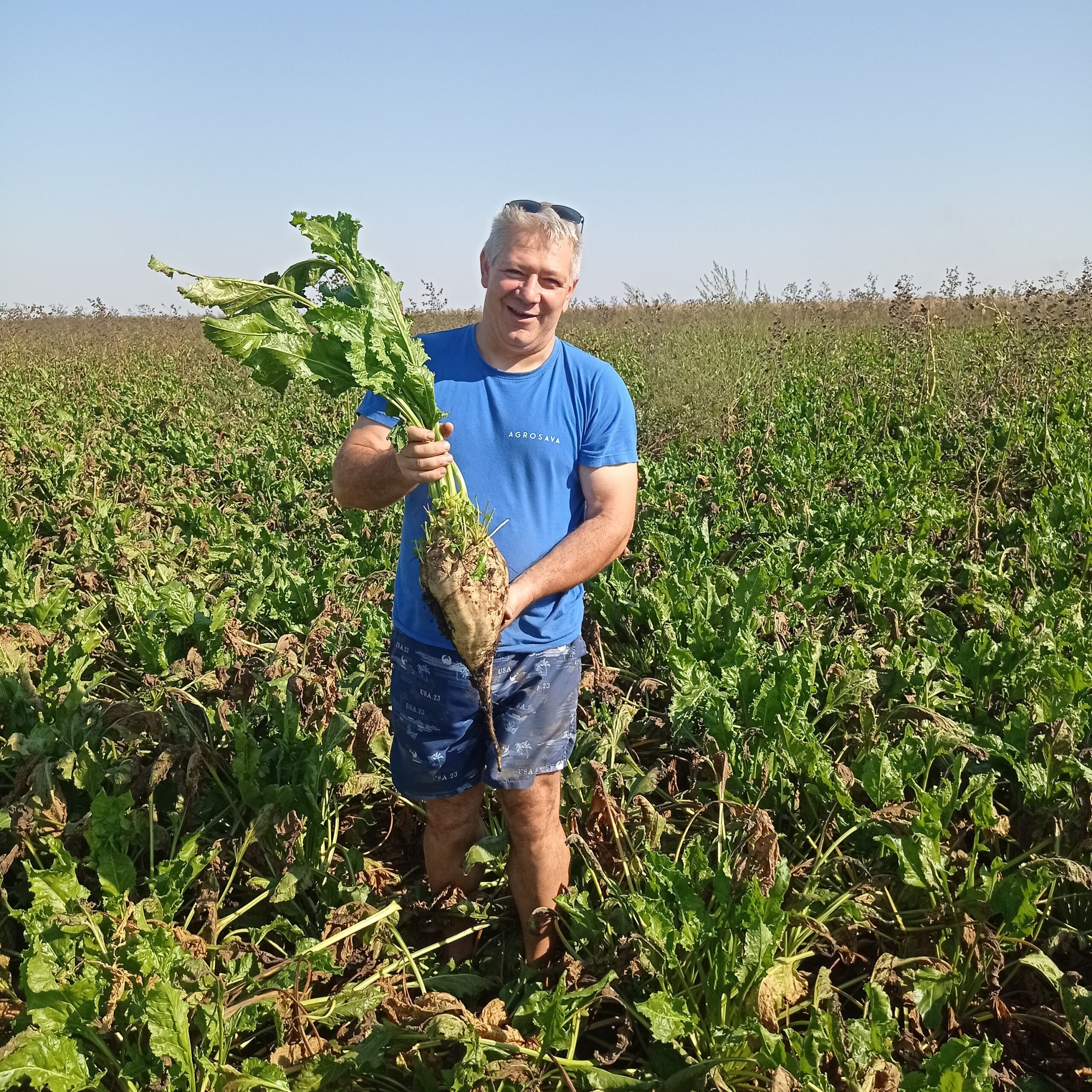 Šandor Juhas, Debeljača – BIOFOR